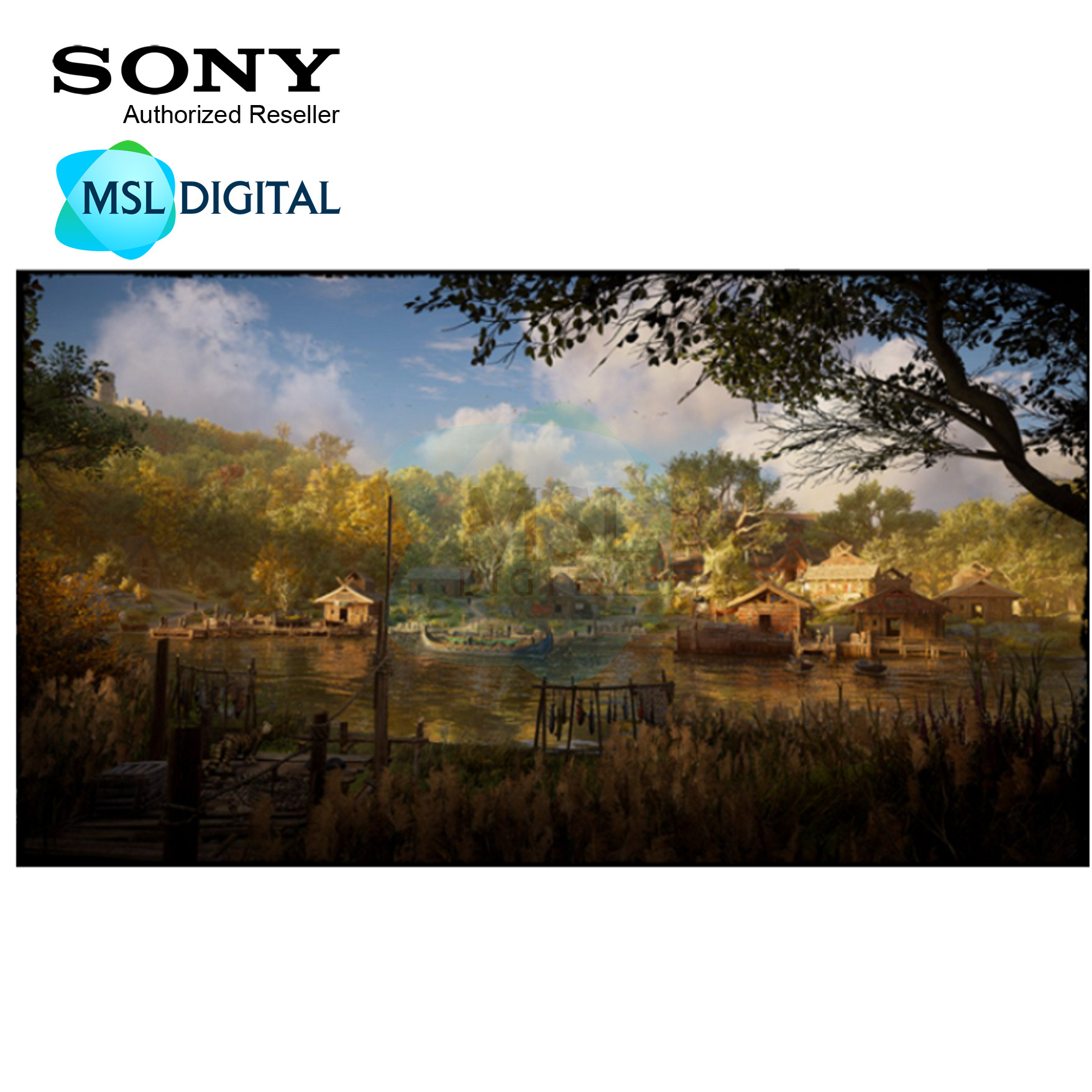 Sony PS5 Game Assassins Creed Valhalla Limited Edition - MSL Digital ...